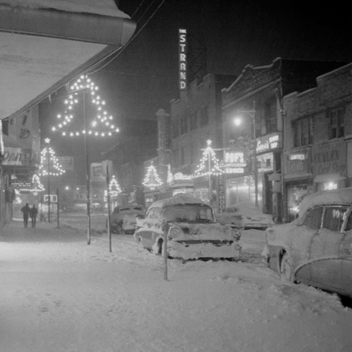 Stream Snowflake (Sia Cover) by Niia | Listen online for free on SoundCloud