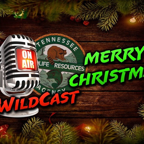 Stream Tennessee WildCast | Listen to 2017 WildCast playlist online for ...