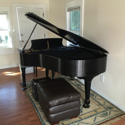 Stream "What's New"? by David Max Steinberg | Listen online for free on SoundCloud