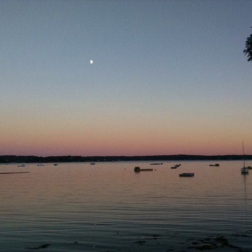 Stream True Love by Sam Ferrell | Listen online for free on SoundCloud