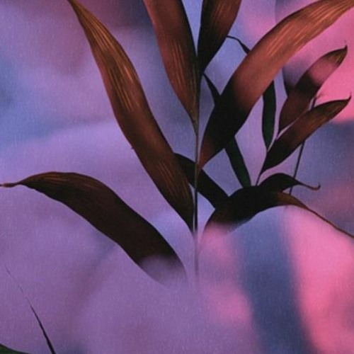 Stream Mr. Carmack - SOLUTIONS (Ft. Donnis) by ellie.mitchell | Listen ...