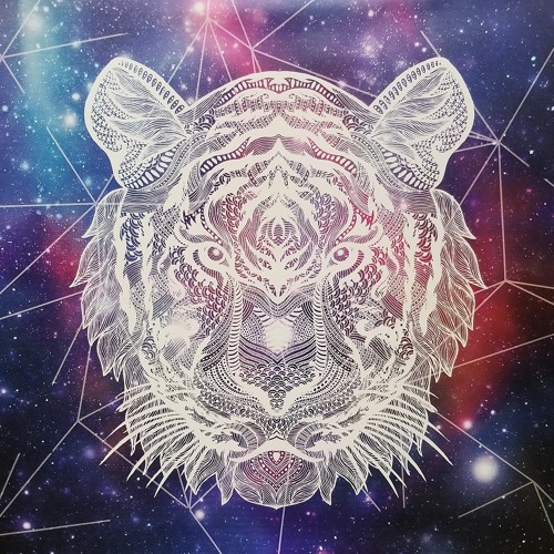 Stream Space Tiger by DJ Goldberg | Listen online for free on SoundCloud