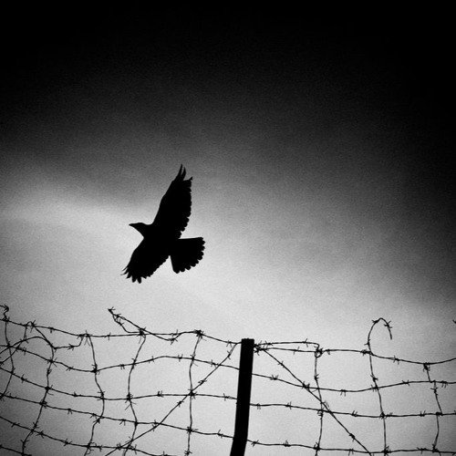 Stream SetUFree by Eric Steffen | Listen online for free on SoundCloud
