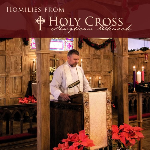 Stream Homilies from Holy Cross: The 23rd Sunday After Trinity by ...