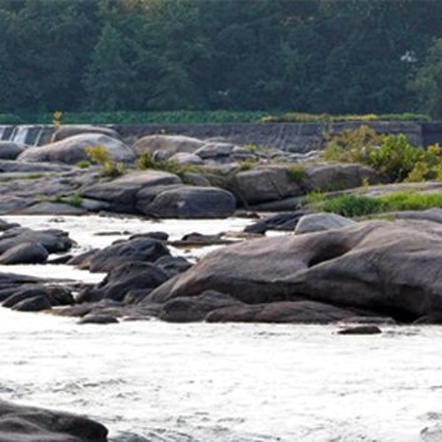 Stream episode Toxic Dust: The History and Legacy of Virginia’s Kepone ...