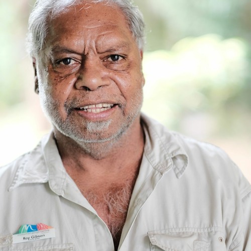Stream Roy Gibson Indigenous Elder of Mossman Gorge rainforest people ...