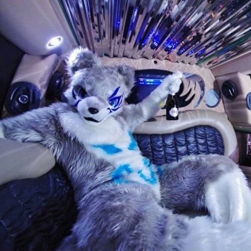 Stream GOZEN REIJI by SOLT WOLF | Listen online for free on SoundCloud