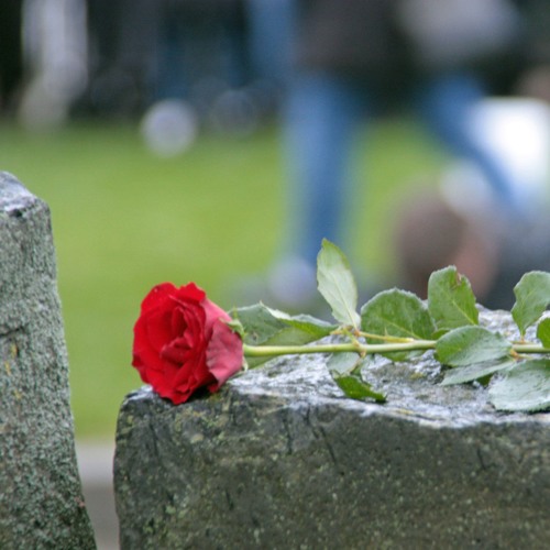 Stream The Past Is Never Dead by Ronald Poelman | Listen online for ...