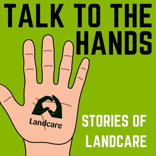 Stream Episode 5 | The Heart Morass by Talk to the Hands: Stories of ...