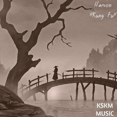 Stream Hacvon - Kung Fu (Wonky Remix) by Wonky | Listen online for free ...
