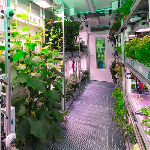 Stream Dr Tracey Larkin and Michelle McKeon Bennett of LIT on Life on ...