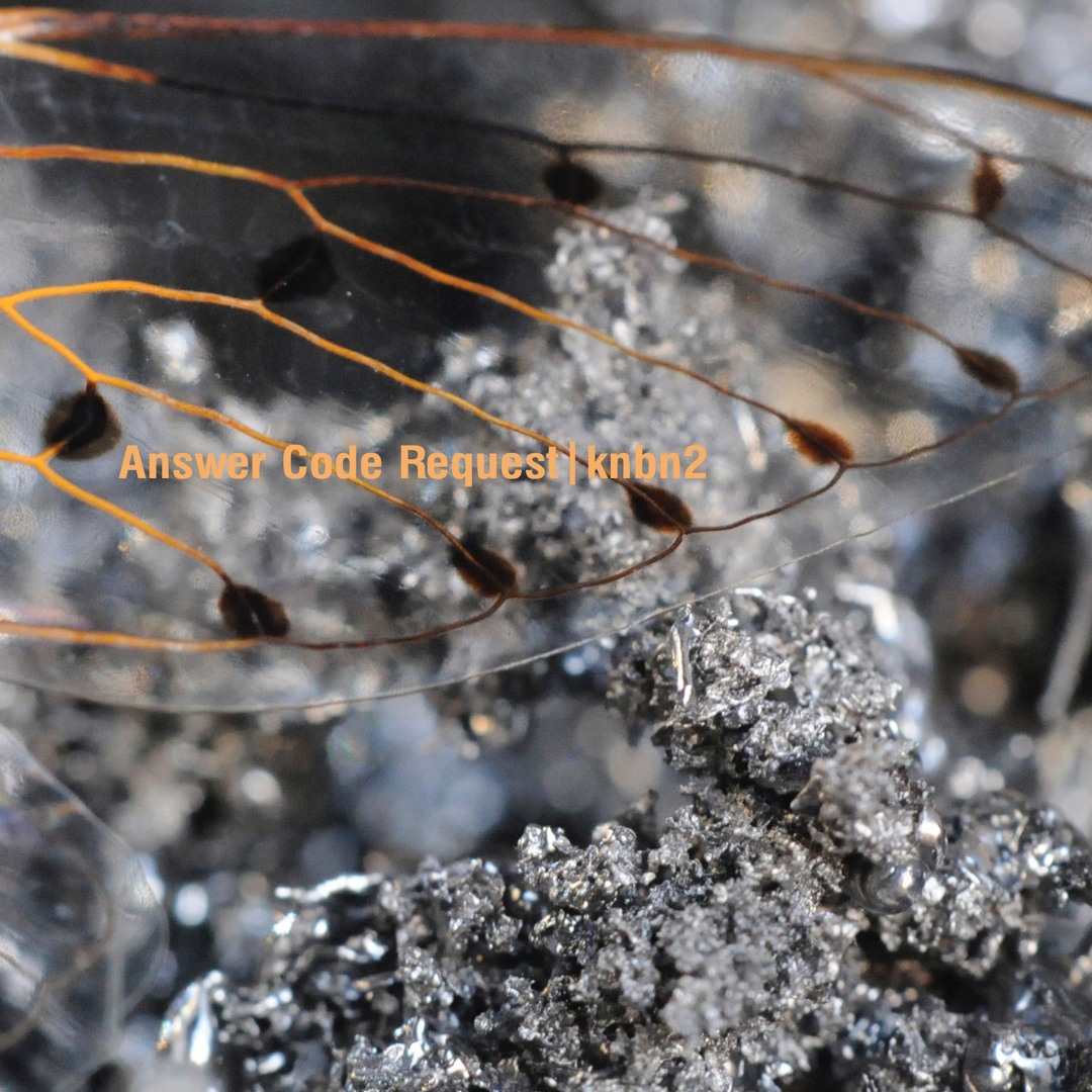 Stream Answer Code Request | knbn2 by Ostgut Ton | A-TON | unterton | Listen online for free on ...