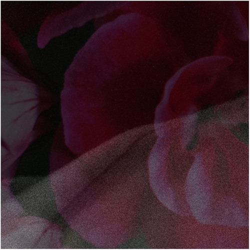 Stream So I Guess (Prod. aswell) by Aswell | Listen online for free on ... Stream So I Guess (Prod. aswell) by Aswell | Listen online for free on ...
