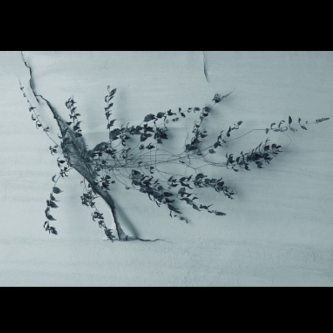 Stream episode Artist/Curator Talk: Otobong Nkanga in conversation with ...