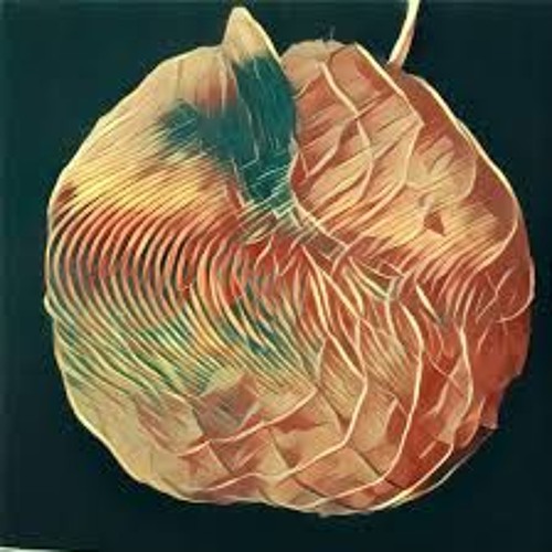 Stream Sponge Patterns by Cory Sharay | Listen online for free on ...