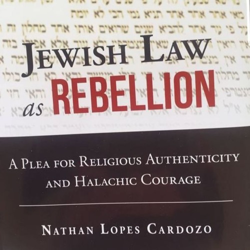 Stream Rejuvenation: The Rebel Rabbi with a Religious Cause by The Land ...