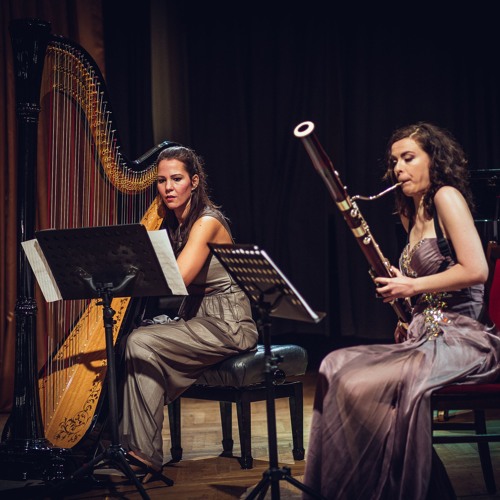 Stream Chopin: Nocturne Op.posth. (for bassoon and harp) by Zsofia ...