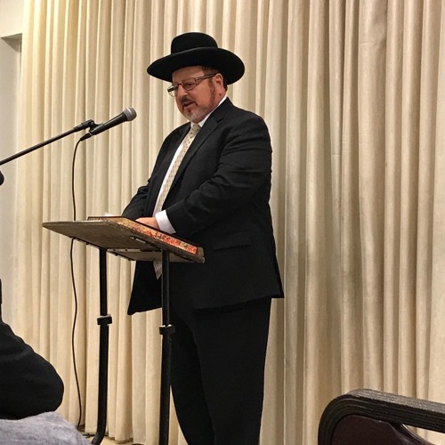 Stream Rav David Tabachnik by Anne K | Listen online for free on SoundCloud