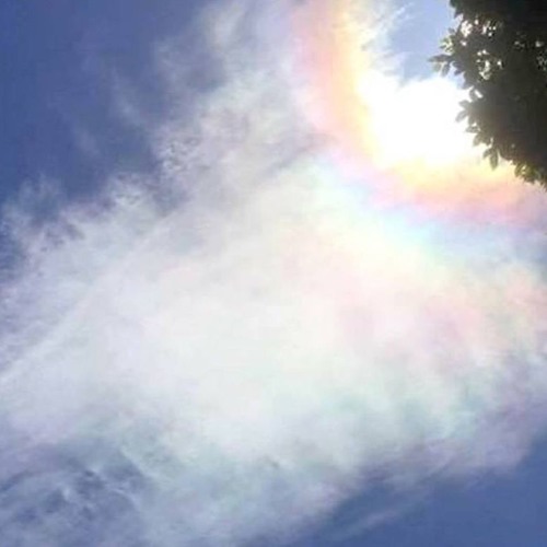 Stream Beyond the Bodhi Tree by Music by Joe Figg | Listen online for ...