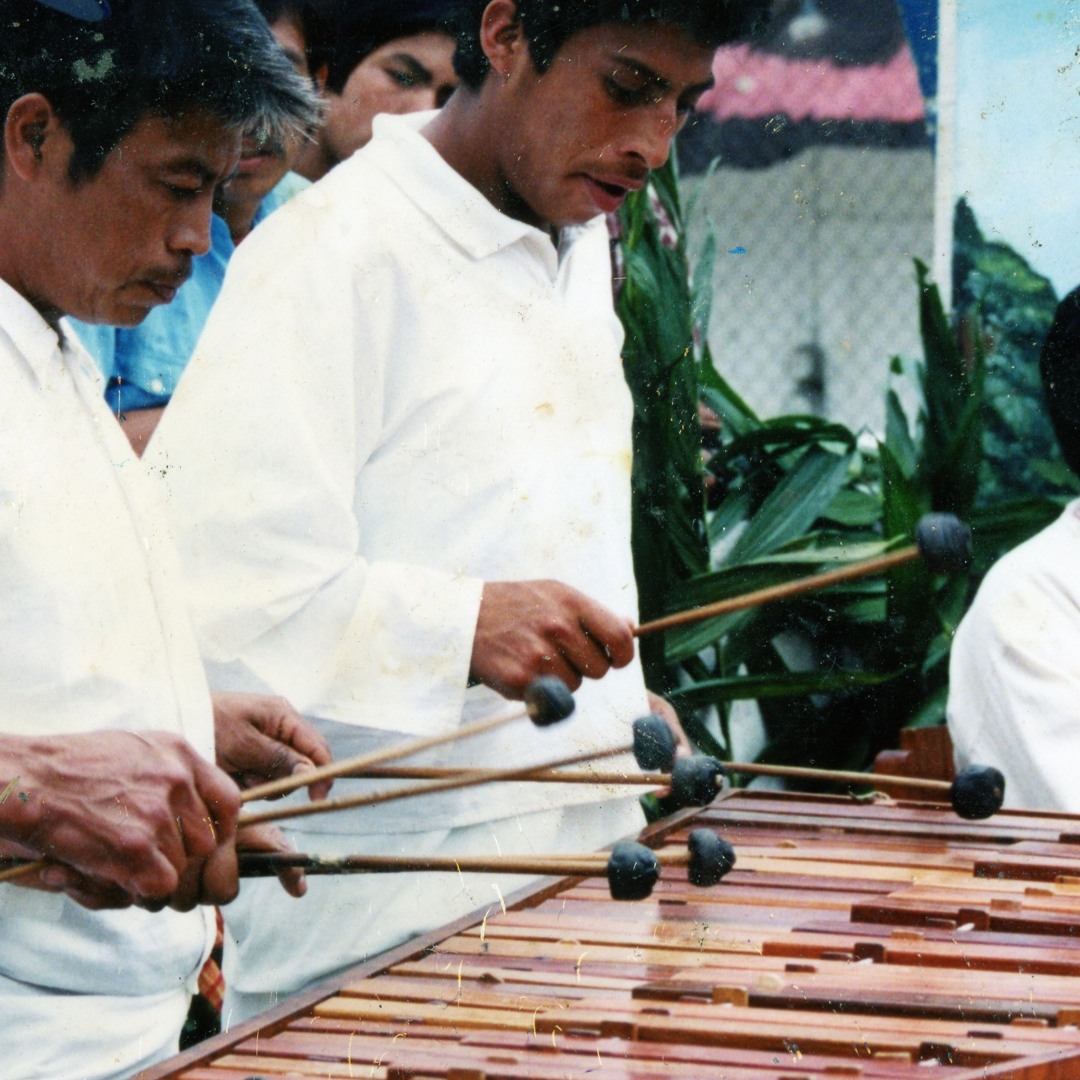Stream Virgen de la Candelaria Pacayal-Frontera, Chiapas, 1995 by ...