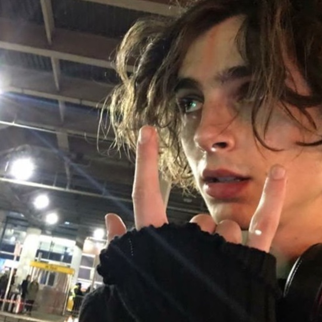 Stream Statistics - Timothée Chalamet by gabi | Listen online for free ...