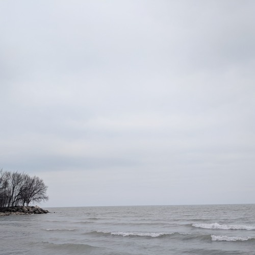 Stream The Story of the Human Body (Ribcage Mix) by Ambusher | Listen ...