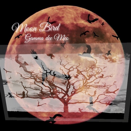 Stream Moon Bird by Ġạṁṃȧ ḍėẹ Ṁẹ⚆ | Listen online for free on SoundCloud