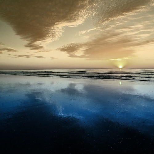 Stream Sarahcha Dahl | Listen to Jammmms playlist online for free on ...