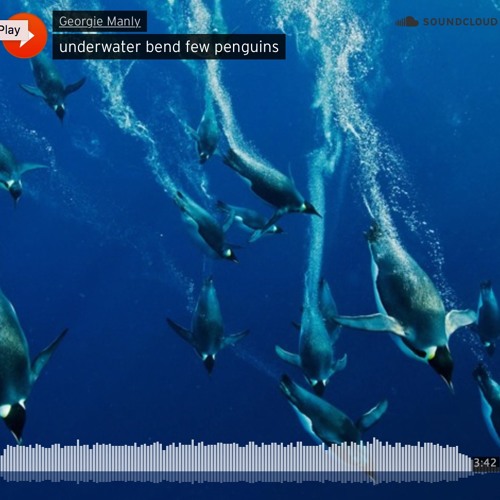 Stream underwater bend few penguins by georgie manly | Listen online ...