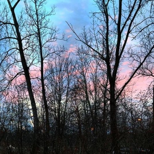 Stream Unfucktheworld (Angel Olsen cover) by elliott lee friesen ...