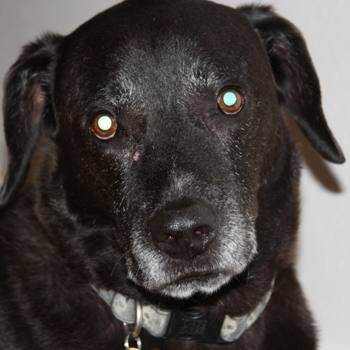 Stream Captain Mother Grand Lord (Prod. Sid White) by jo$ef | Listen ...