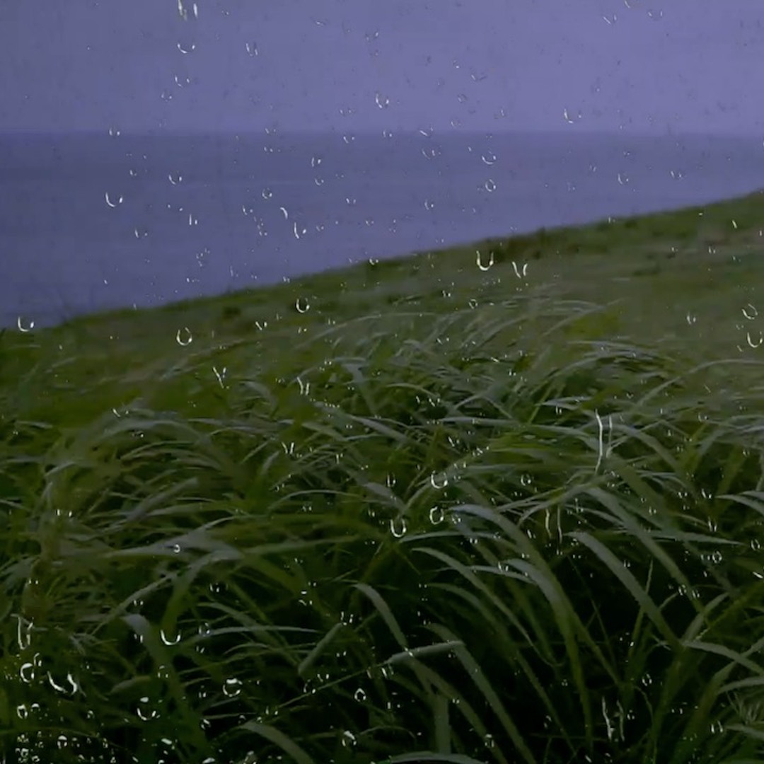 Stream Rain Sounds with Heavy Wind & Thunder Sounds for Sleeping ...
