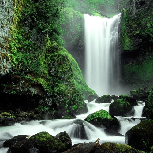 Stream Birds, water and piano. by Simone Wise | Listen online for free ...