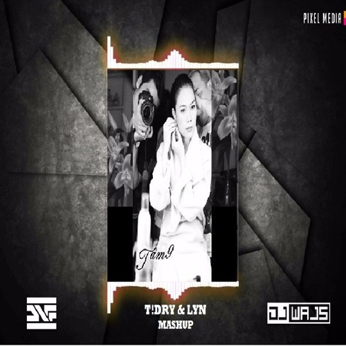 Stream DNF & DJ WAJS X My Tam - Revolution Em Di (T!RDY & LYN Mashup ...
