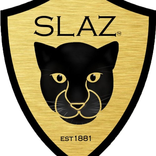 Stream SLAZ Radio Ad by wisky66 | Listen online for free on SoundCloud