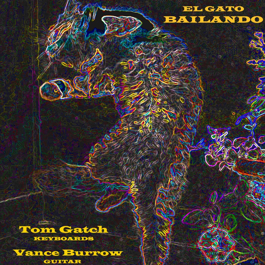 Stream El Gato Bailando - Tom & Vance by Tom Gatch - Keyboards | Listen ...