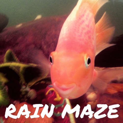 Stream Whitewater by Rain Maze | Listen online for free on SoundCloud
