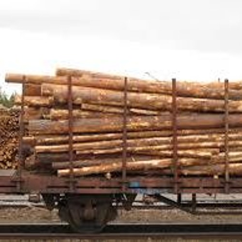 Stream Singer Lumber by SLumber28 | Listen online for free on SoundCloud