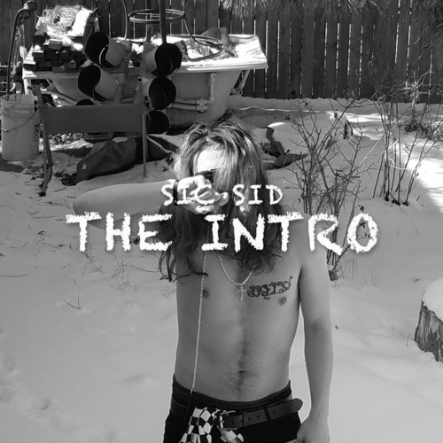 Stream Sic Sid The Intro By Sic Sid Listen Online For Free On Soundcloud