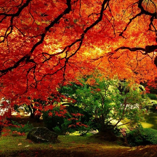 Stream Back When And Where - Matt Beard by Greg Fogg | Listen online ...