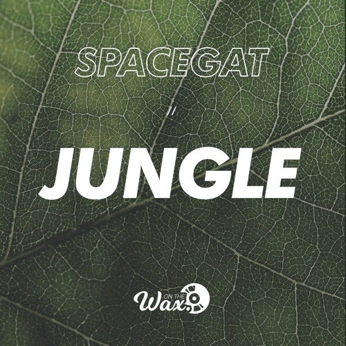 Stream Spacegat - Jungle [Free Download] by On The Wax | Listen online ...