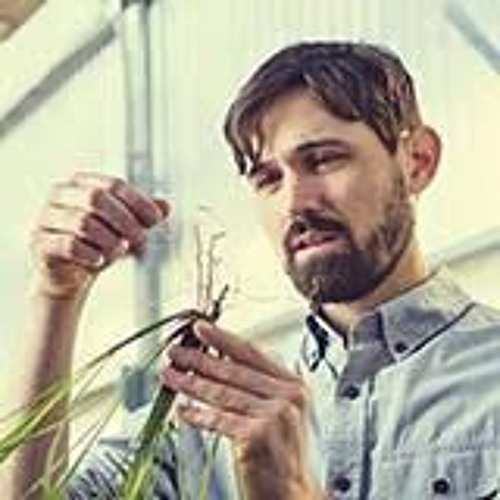 Stream episode Chris Topp Interview by Plantae podcast | Listen online ...