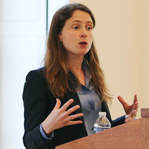 Stream episode Big Law, Big Impact: The Role of Private Sector Lawyers ...