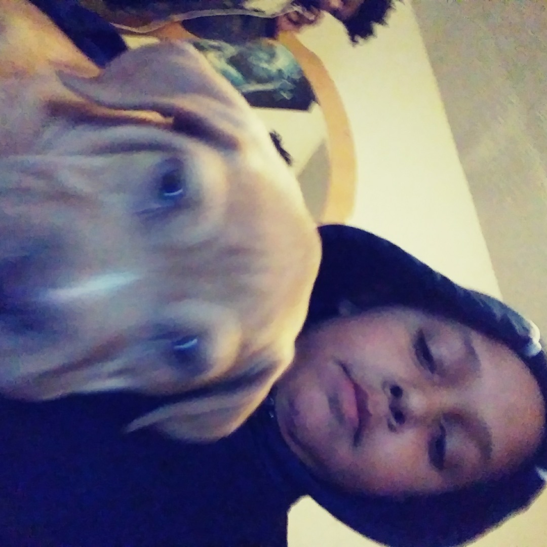 Stream Punch you in your teeth by Tracy Delozier | Listen online for ...