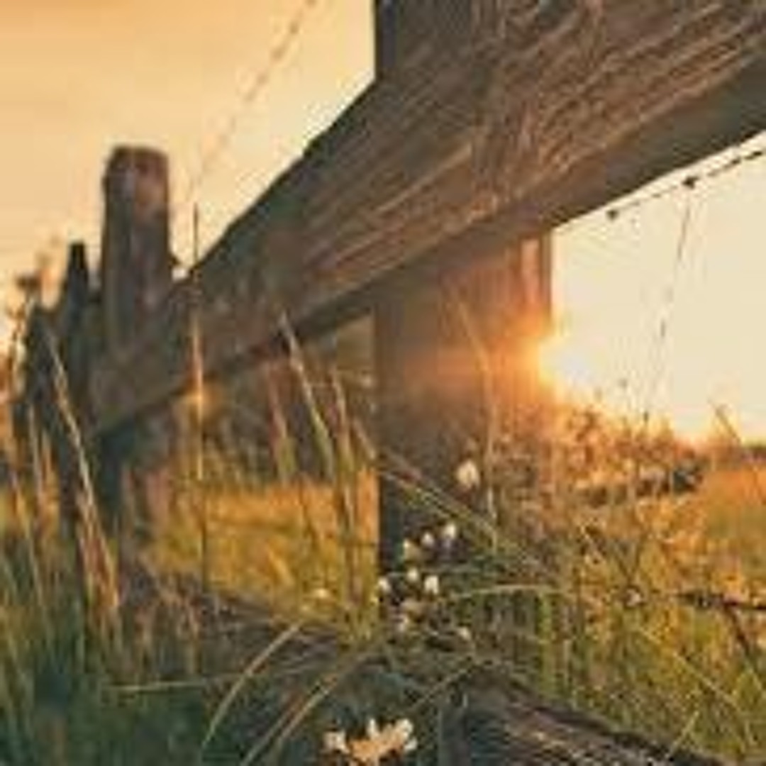 Stream DOG HEART BLUES by Kyody Joe | Listen online for free on SoundCloud