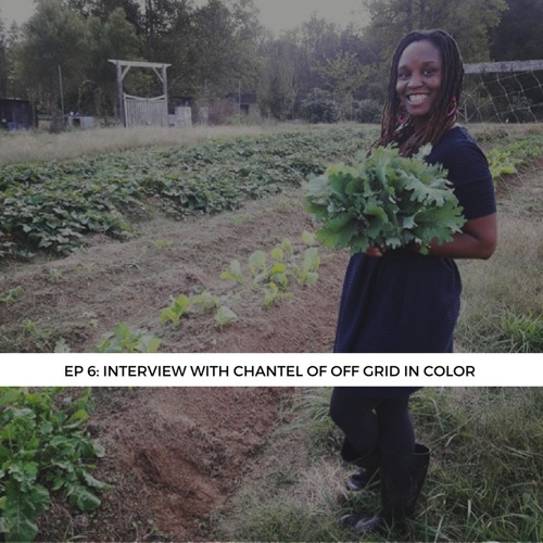 Stream EP 6: Interview with Chantel Johnson of Off Grid in Color by ...