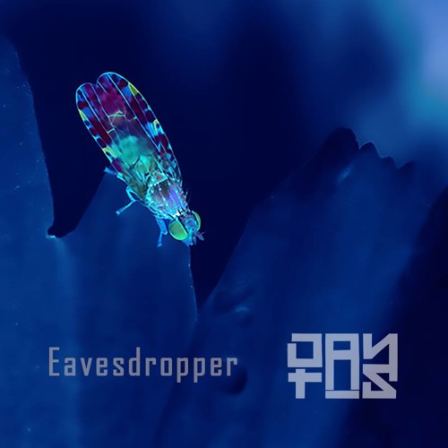 Stream Eavesdropper by Dantus | Listen online for free on SoundCloud