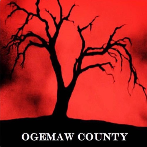 Stream Average Joe's Records | Listen to Ogemaw County playlist online ... Stream Average Joe's Records | Listen to Ogemaw County playlist online ...