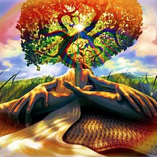 Stream Grow Your Roots Meditation by Meagan Cohn | Listen online for ...