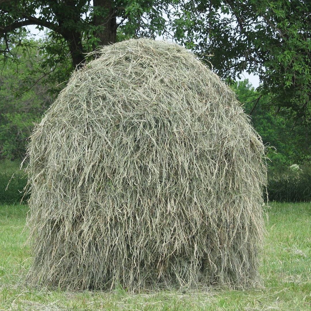 Stream 2. Poem 'Haystacker'' (1) by Charles Entrekin | Listen online ...